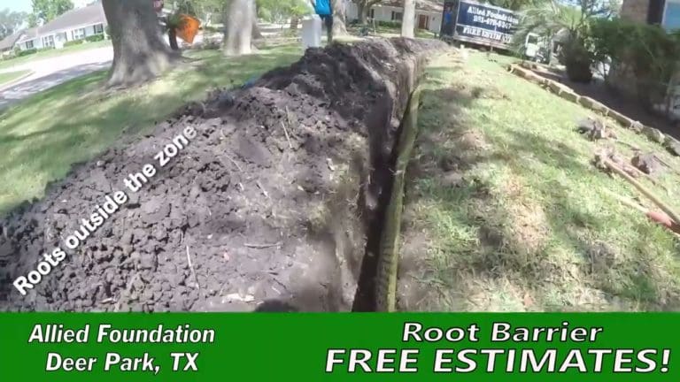Protect Your Houston Foundation with BioBarrier Root Systems
