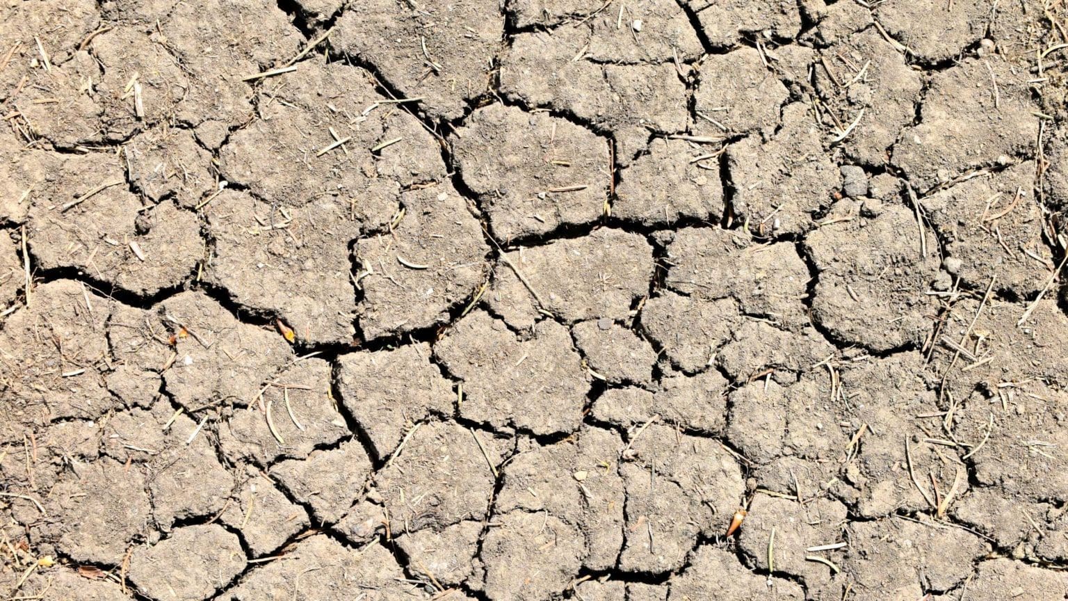 Dry Weather Can Cause Issues for Your Foundation | Houston Foundation ...