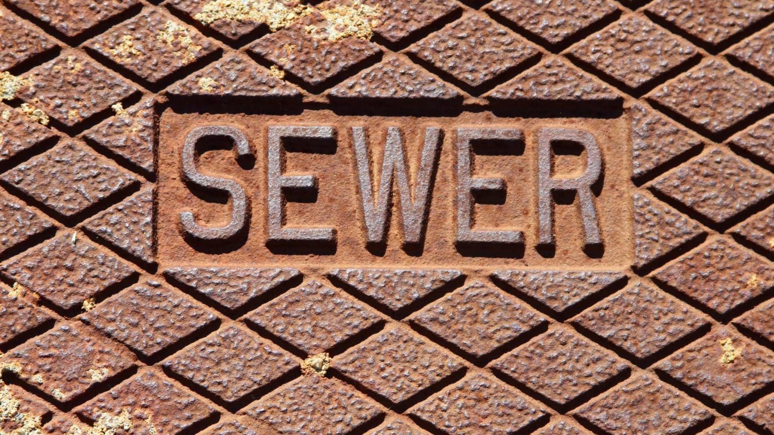 Expert Guide: Cleaning Up Sewer Water Safely in Houston