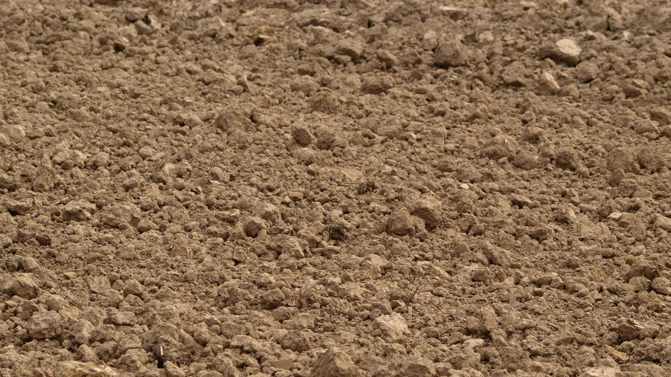 What Is Soil Stabilization? | Houston Foundation Repair | Allied Foundation